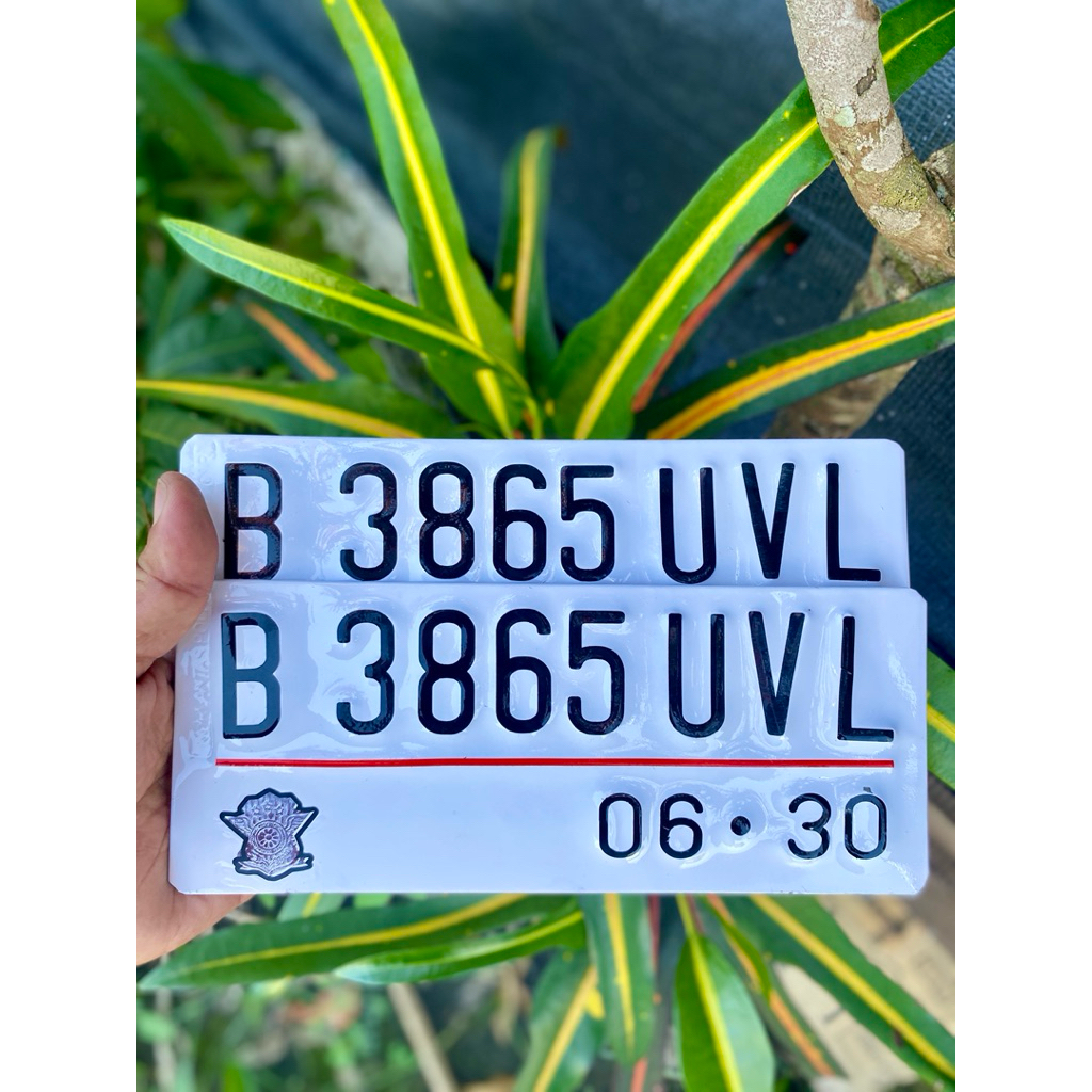 Jual PLAT MOTOR CUSTOM LEBIH KECIL DARI STANDART PLAT MOTOR BAUT TANAM ...