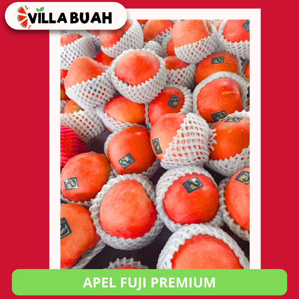 Jual Apel Fuji Premium (1 pcs) | Shopee Indonesia