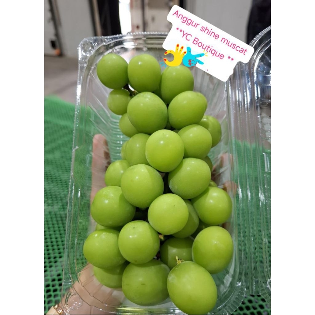 Jual ANGGUR GREEN MUSCAT PACK 500 GRM | Shopee Indonesia