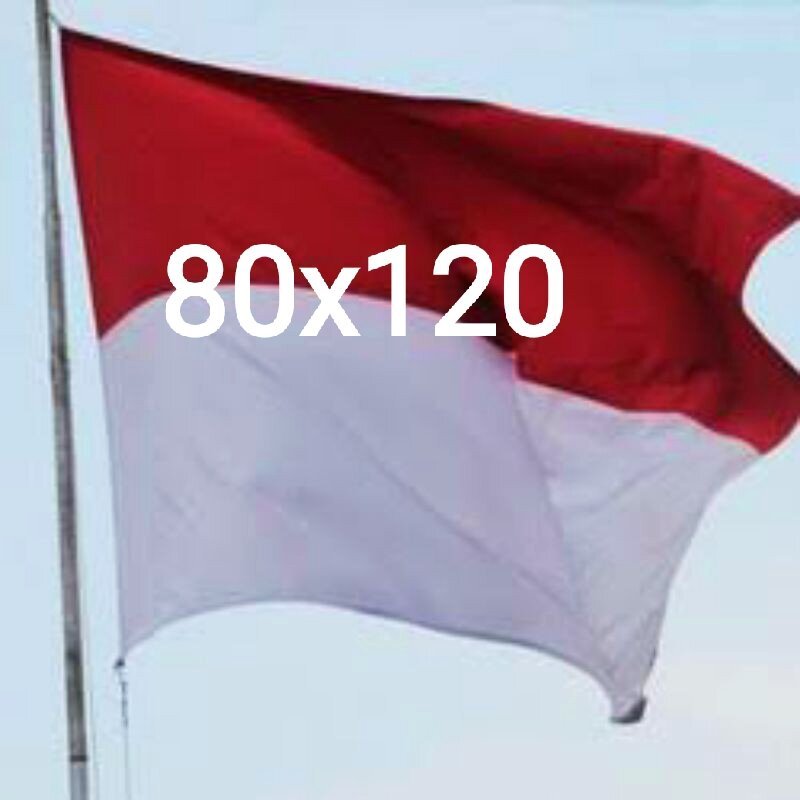Jual Bendera Merah Putih Ukuran 80 x 120 cm Bendera Indonesia Bendera ...