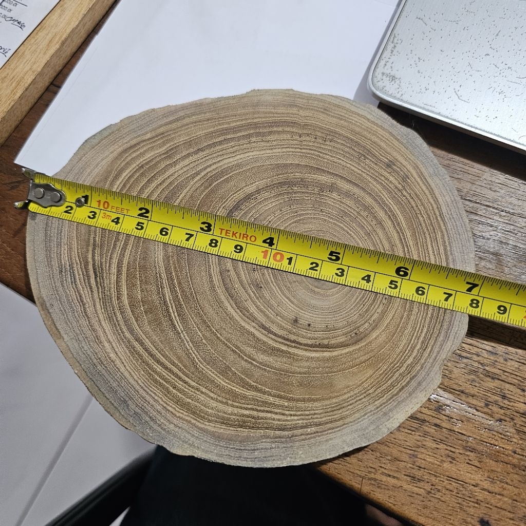 Jual Amoeba wood slice 15cm - 17cm , 18cm - 20cm RUSTIC talenan kayu ...