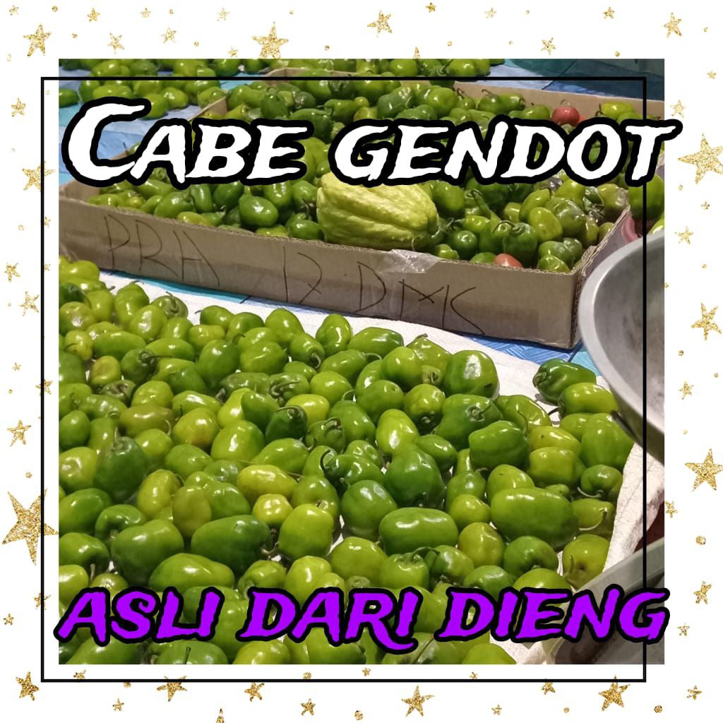 Jual cabe gendot asli dieng 1 kg | Shopee Indonesia