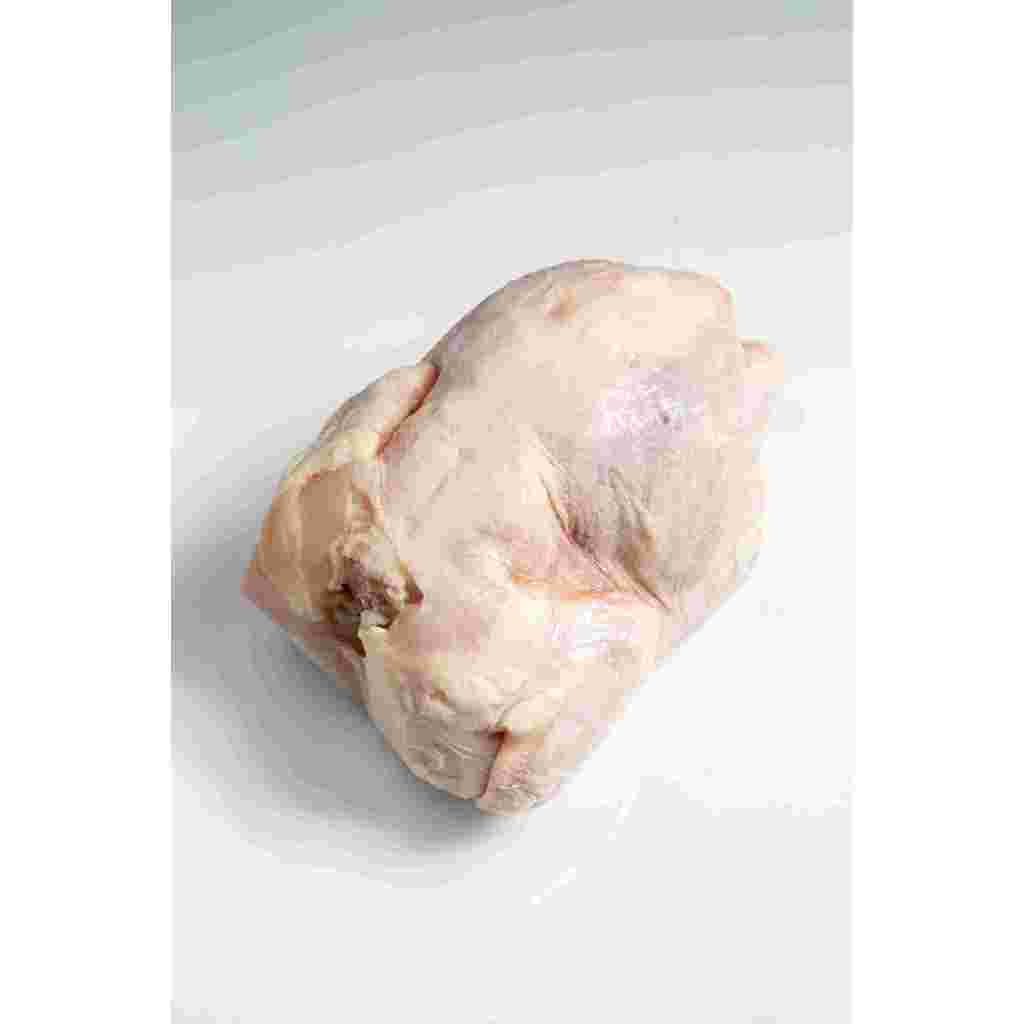 Jual Ayam broiler frozen ukuran 1kg /ayam negeri/ayam murah/daging ayam ...