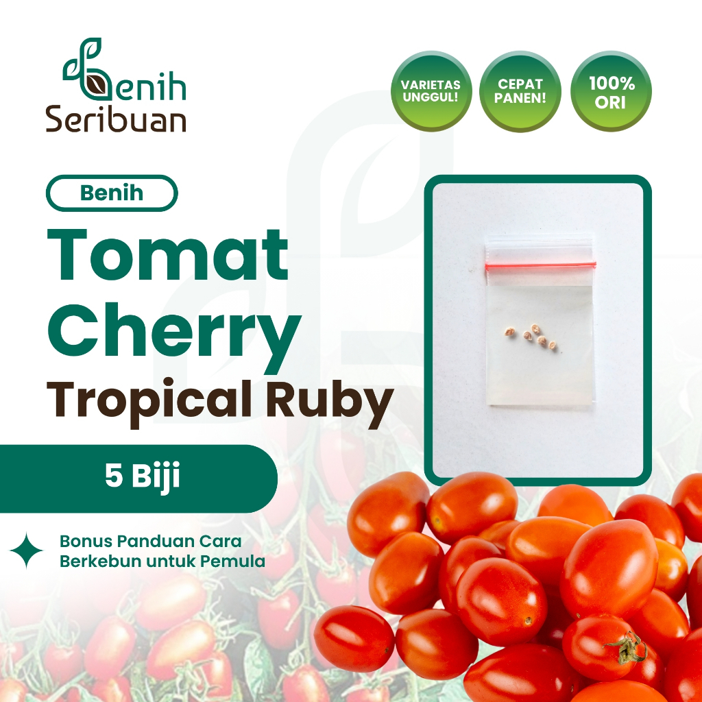 Jual Benih Seribuan - 5 Benih Sayuran Tomat Cherry Tropical Ruby Unggulan | Shopee Indonesia