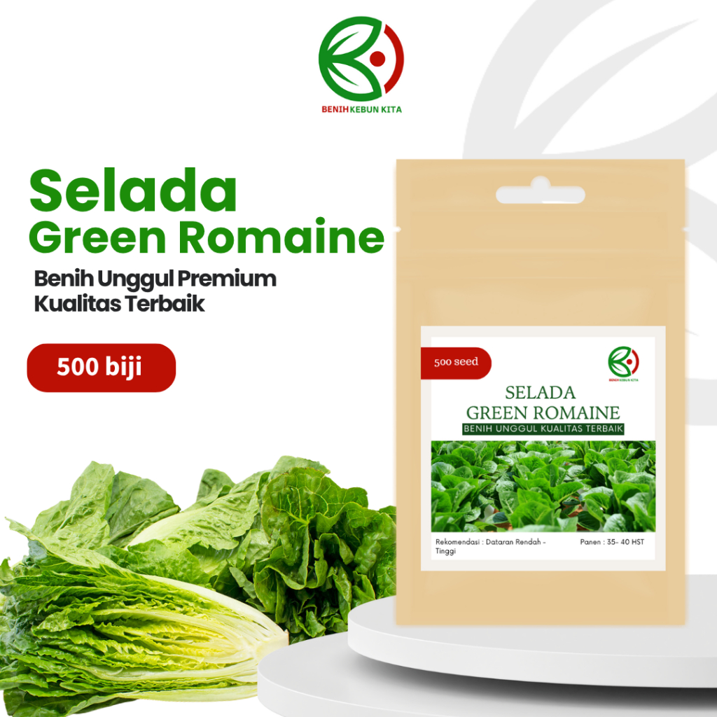 Jual Biji Benih Bibit Tanaman Sayuran Selada Green Romaine Unggul Berkualitas | Shopee Indonesia