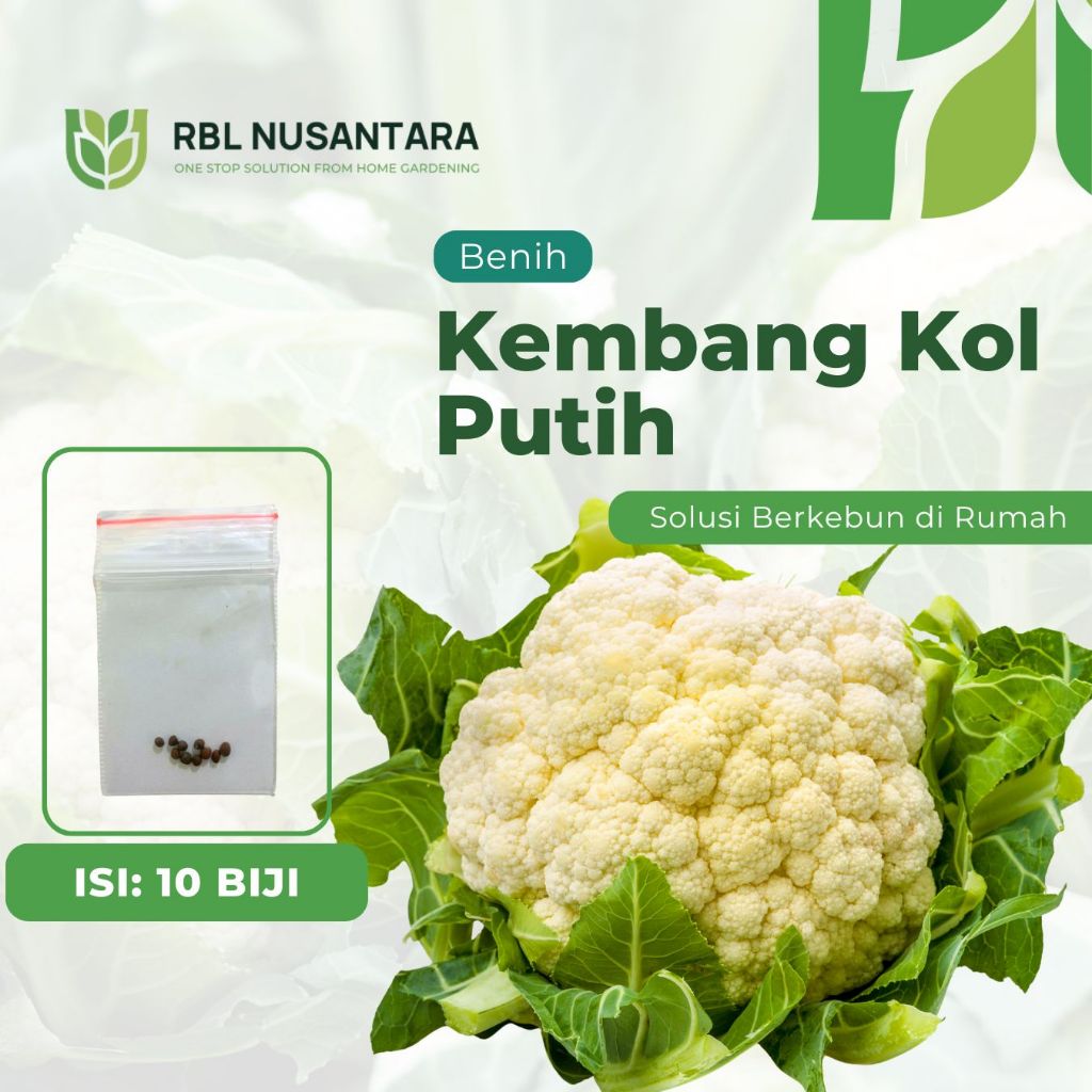 Jual BENIH SAYURAN - 10 Benih Kembang Kol Putih | Shopee Indonesia