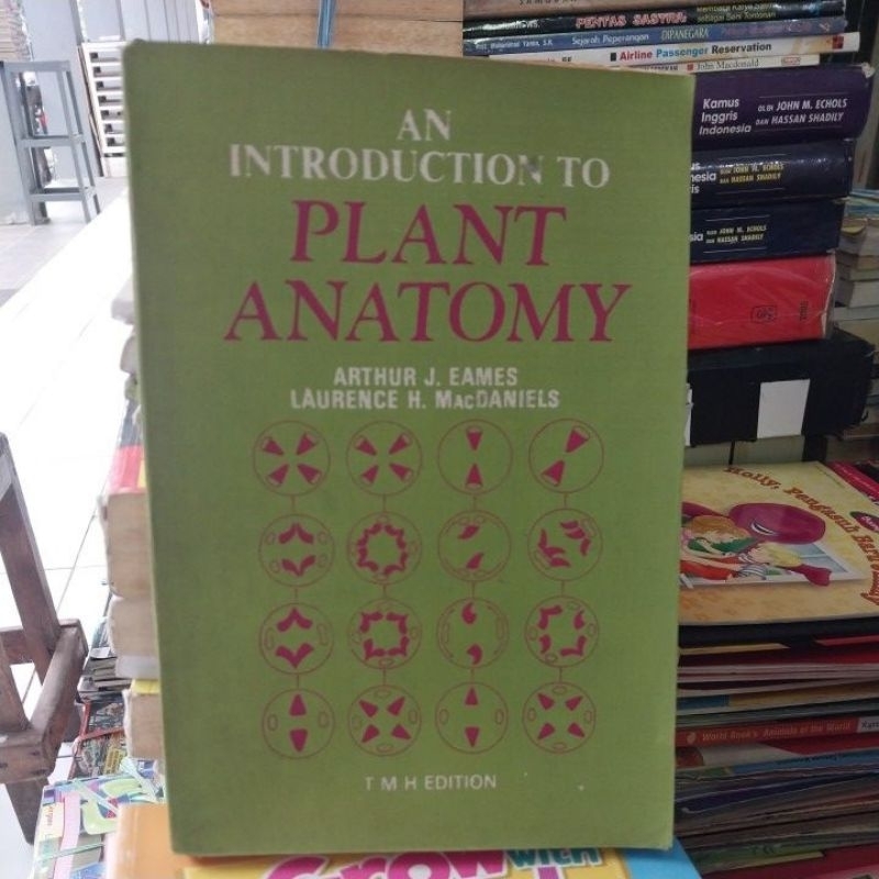 Jual INTRODUCTION TO PLANT ANATOMY | Shopee Indonesia