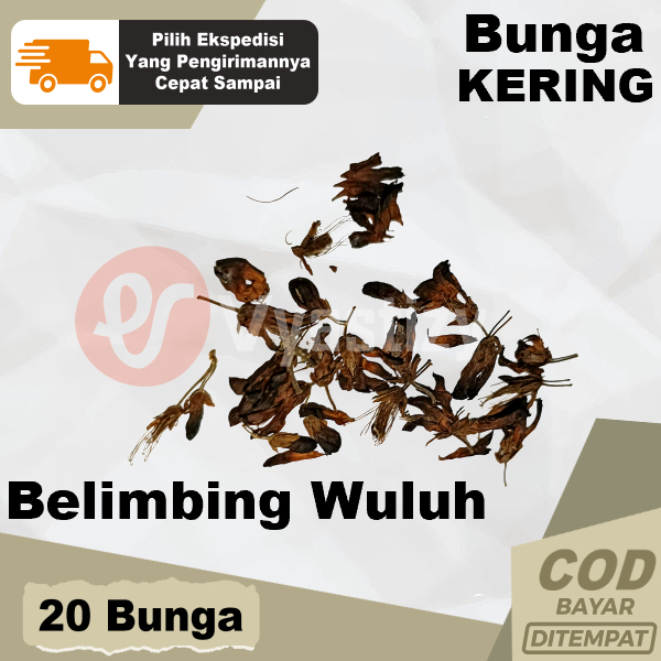 Jual Bunga Belimbing Wuluh Kering Per 20 Pcs | Shopee Indonesia