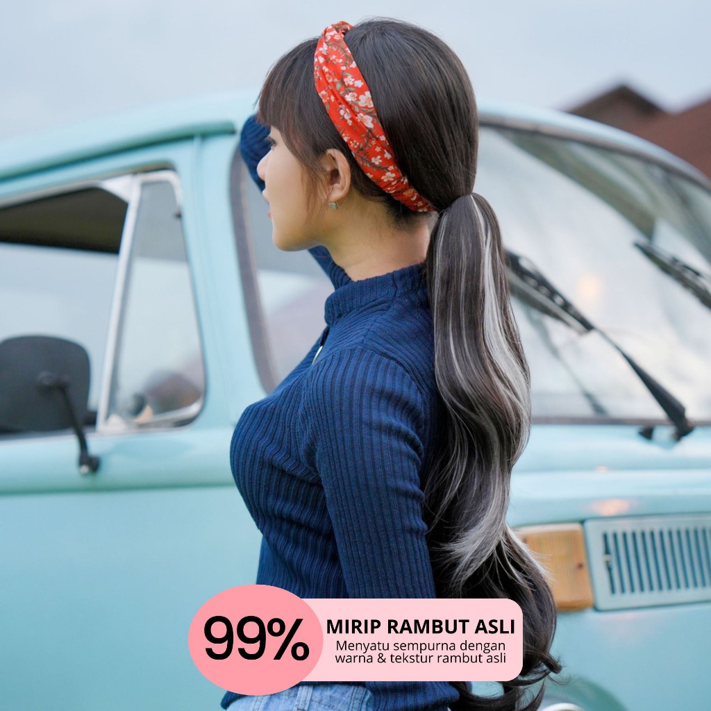 Jual SLIM PIN PONYTAIL HIGHLIGHT – Hairclip kuncir kuda jepit gelombang ...
