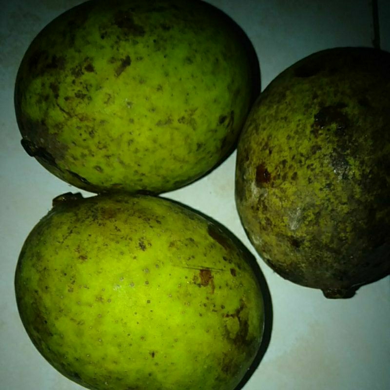 Jual Buah Mangga Bacang Pakel kg | Shopee Indonesia