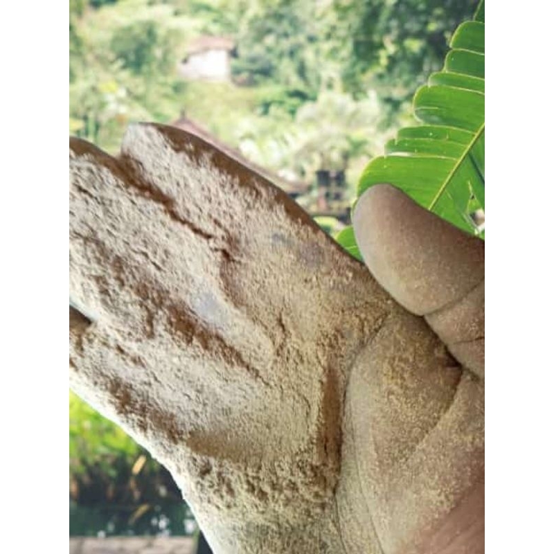Jual Katul halus 1kg | Shopee Indonesia