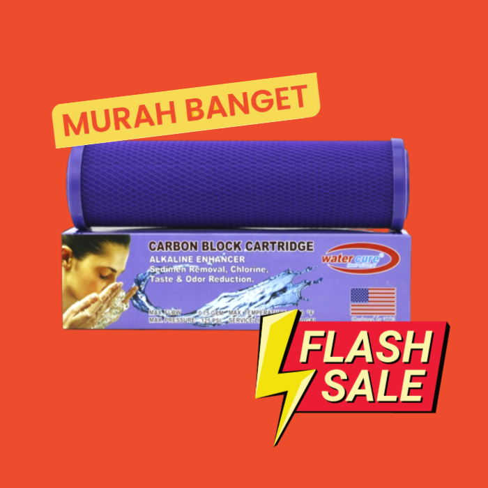 Jual Filter Air Parts / CTO ALKALINE ENHANCER WATERCURE 10" Carbon ...
