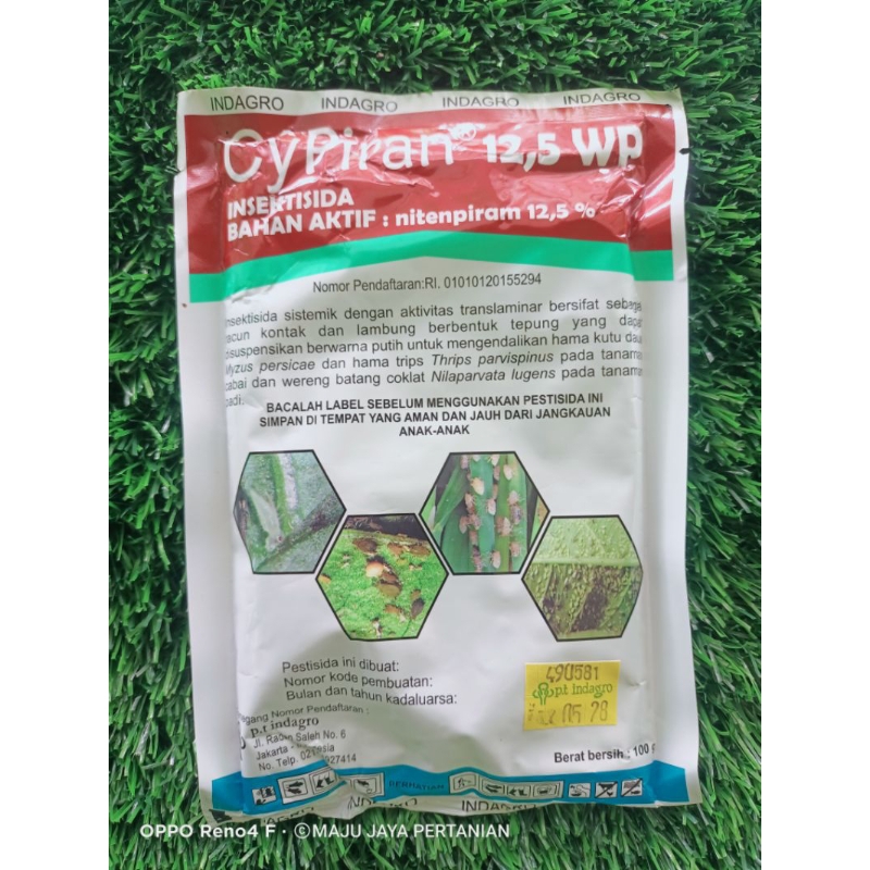Jual INSEKTISIDA CYPIRAN 12,5WP 100GRAM || Pembasmi wereng coklat | Shopee Indonesia