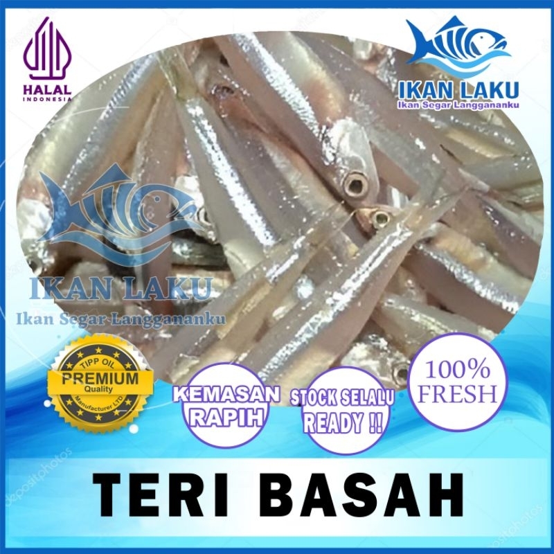 Jual PRODUK BARU!! IKAN TERI BASAH FRESH PREMIUM FRESH TERMURAH ...