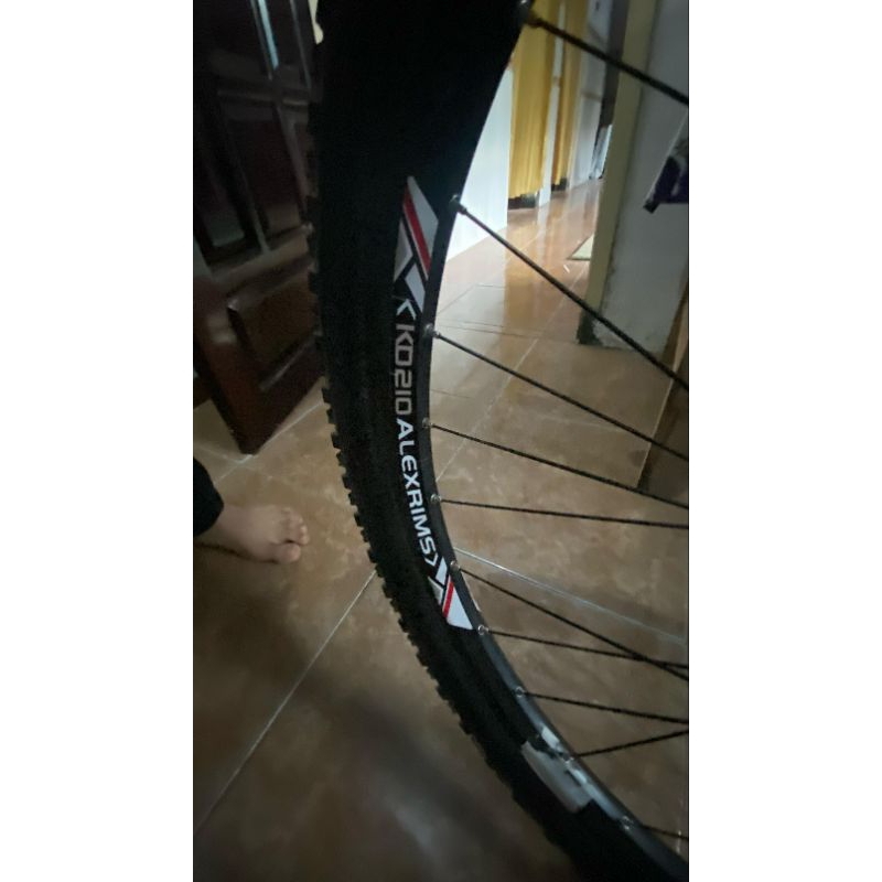 Jual Sepeda Orbea Size S 29er | Shopee Indonesia
