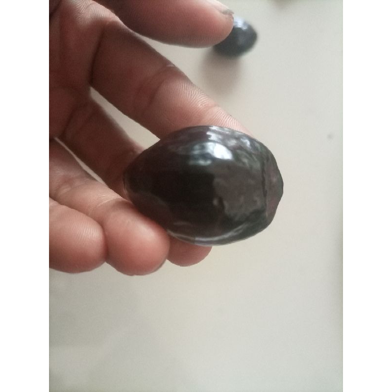 Jual Muncang adu panjangan jawaan siap du | Shopee Indonesia