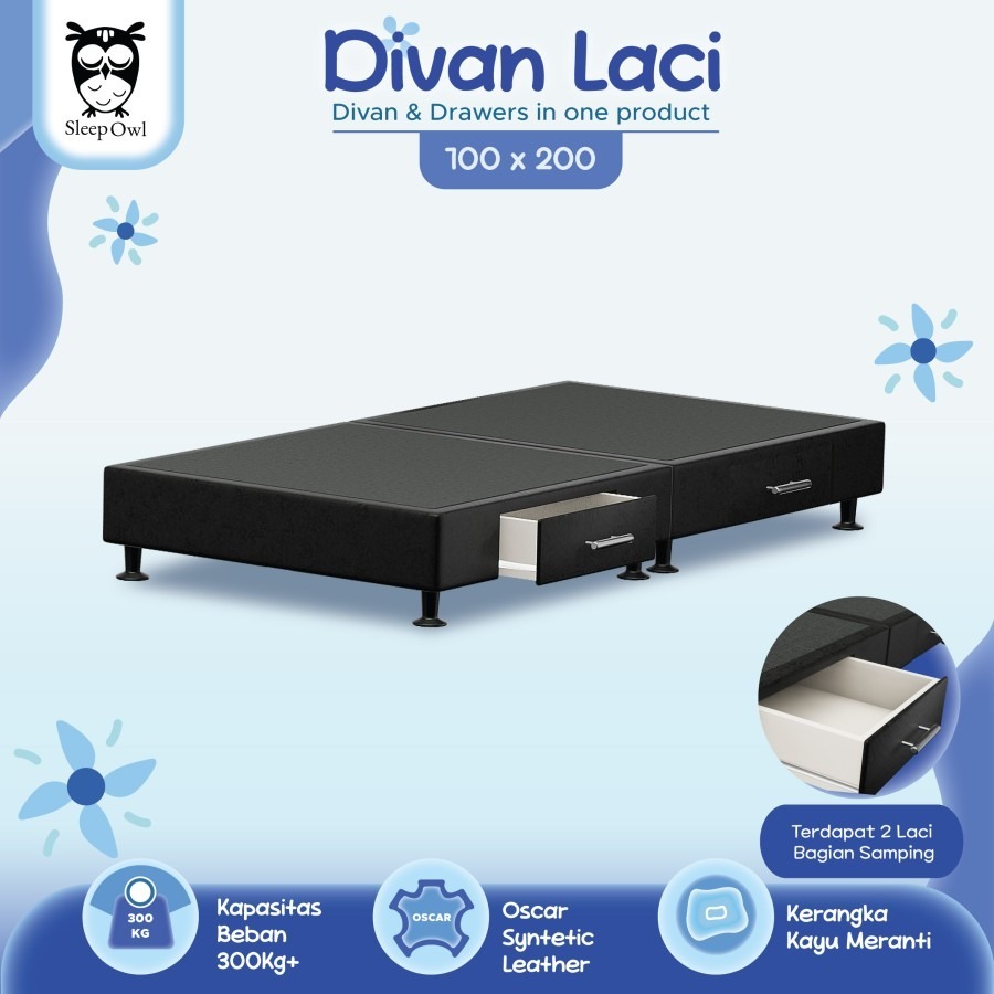 Jual CITRA FURNITURE SLEEP OWL Divan Minimalis Laci 100 x 200 | Dipan ...