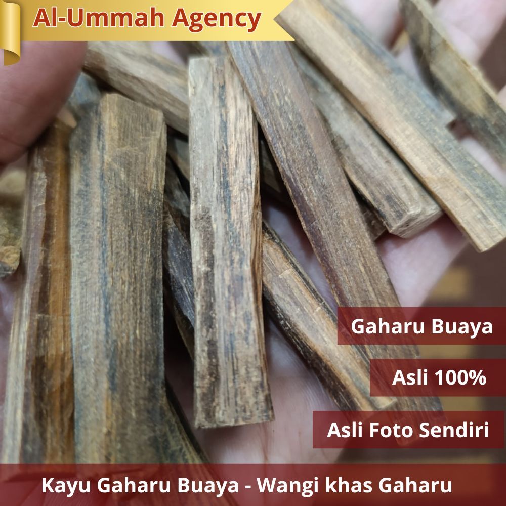 Jual Kayu Gaharu Agarwood Bouya Kayu Gahru Asli Hutan Kalimantan Aroma Wangi Alami Khas Kayu ...