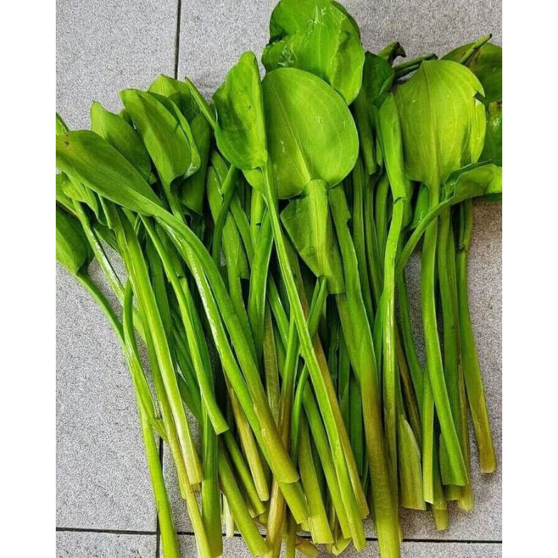 Jual sayur gendot/genjer enak dan fresh di ambil bila ada orderan masuk ...
