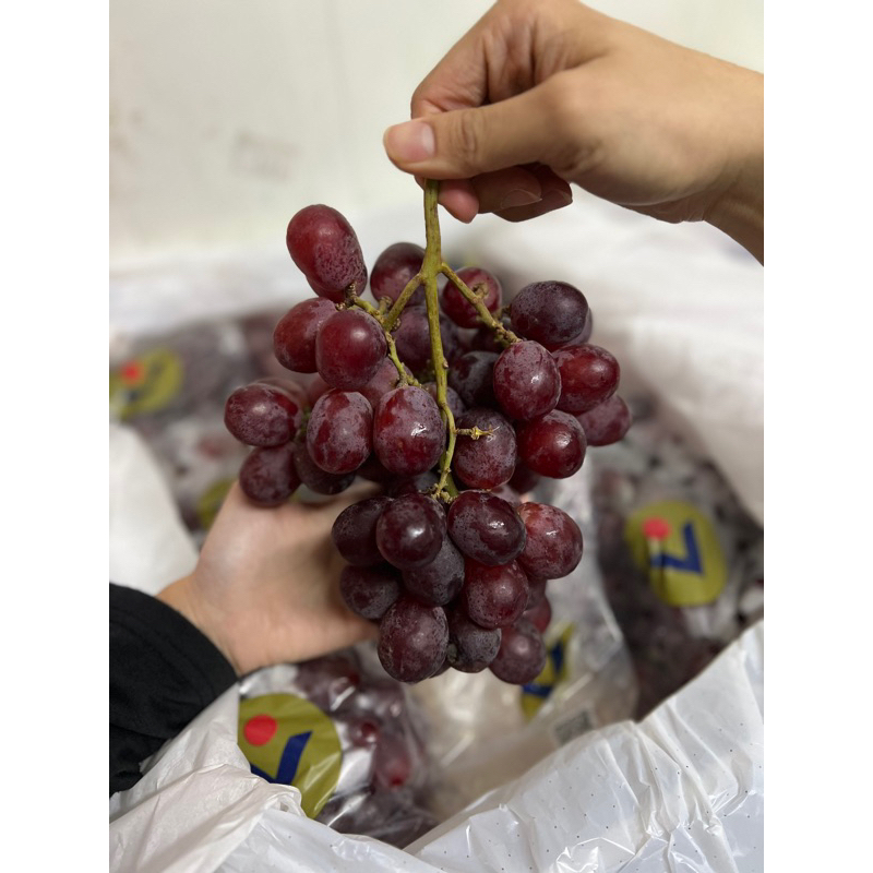 Jual ANGGUR PERU JUMBO 1 KG | BUAH ANGGUR GRAPES MANIS BERBIJI | Shopee ...