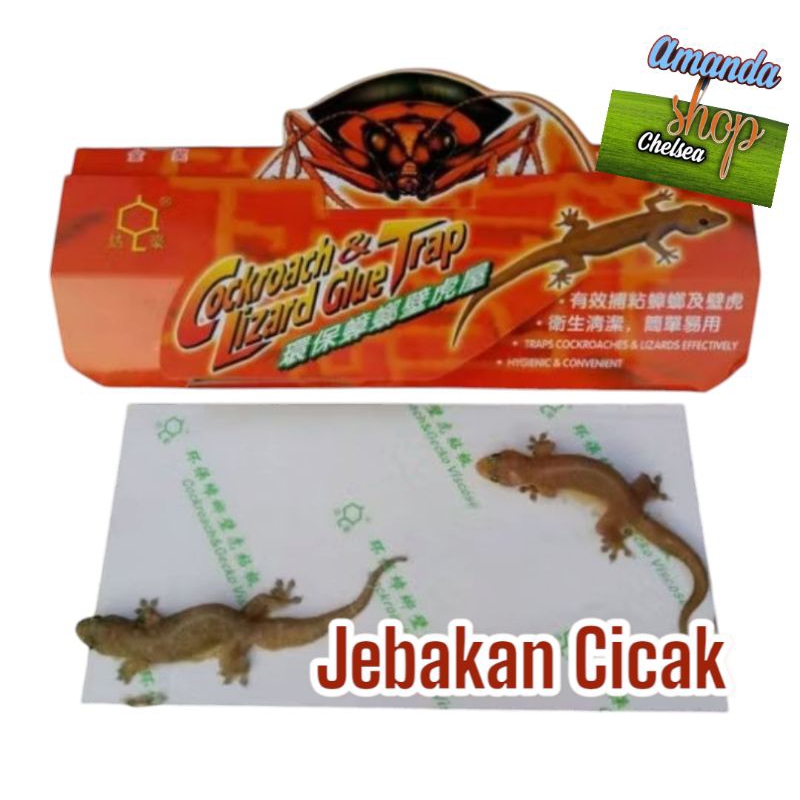 Jual Lem Cicak Lem Kecoa Umpan Trap Serangga Pest Control / Perangkap ...