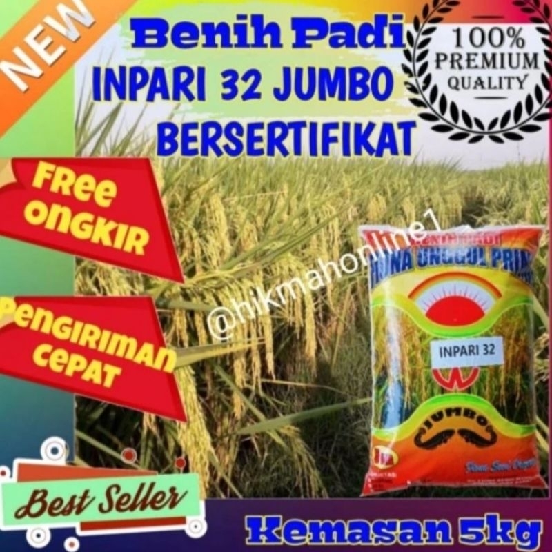 Jual Benih padi Inpari 32 jumbo kemasan 5kg | Shopee Indonesia