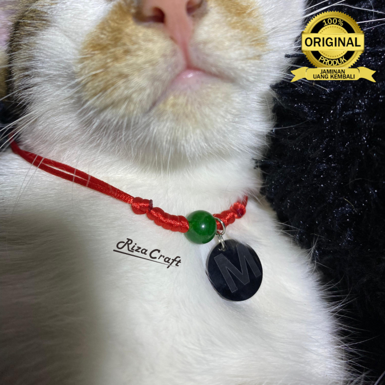 Jual Kalung Natural Kucing Custom Nama Mewah Lucu dari Kayu Kokka ...