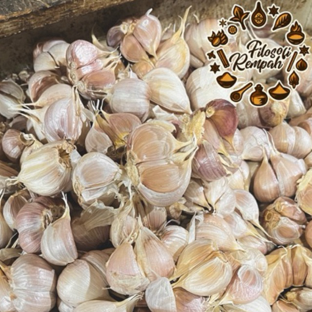 Jual Bawang Putih Kating Super Premium | Shopee Indonesia