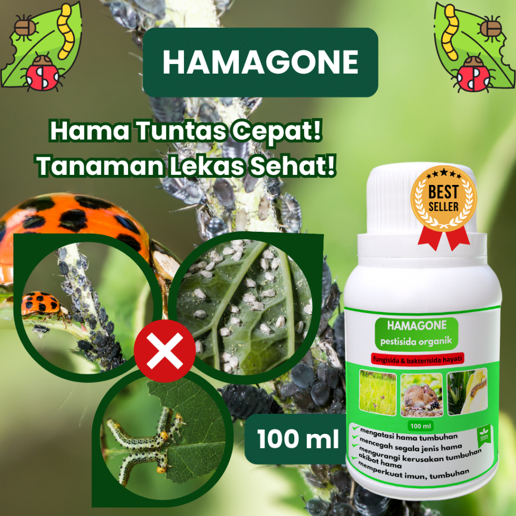 Jual OBAT HAMA ULAT PADI SUNDEP BELUK 100 ML HAMAGONE - Obat Hama Padi ...