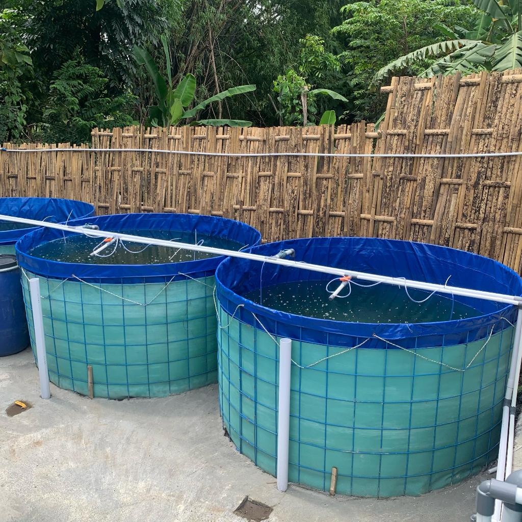 Jual Rangka Besi Rangka Wermesh Untuk Kolam Terpal Bulat Kolam Bioflok ...
