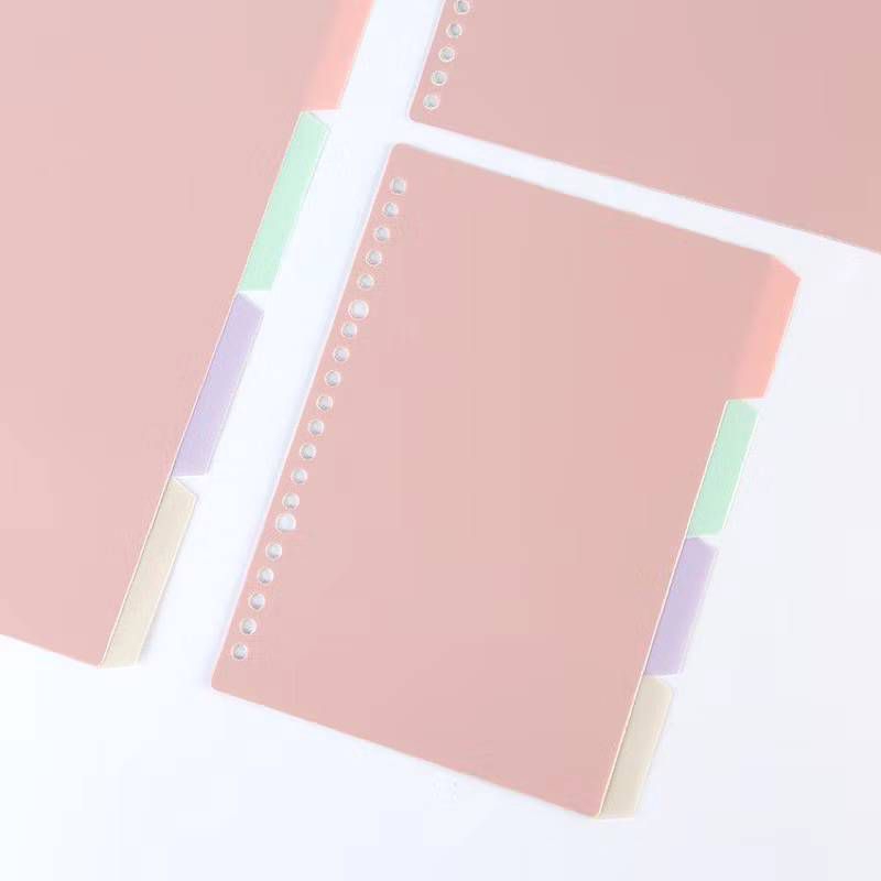 Jual Tab Divider A5 B5 A4/ Pembatas Buku Binder Plastik PP Dividers Pastel | Shopee Indonesia