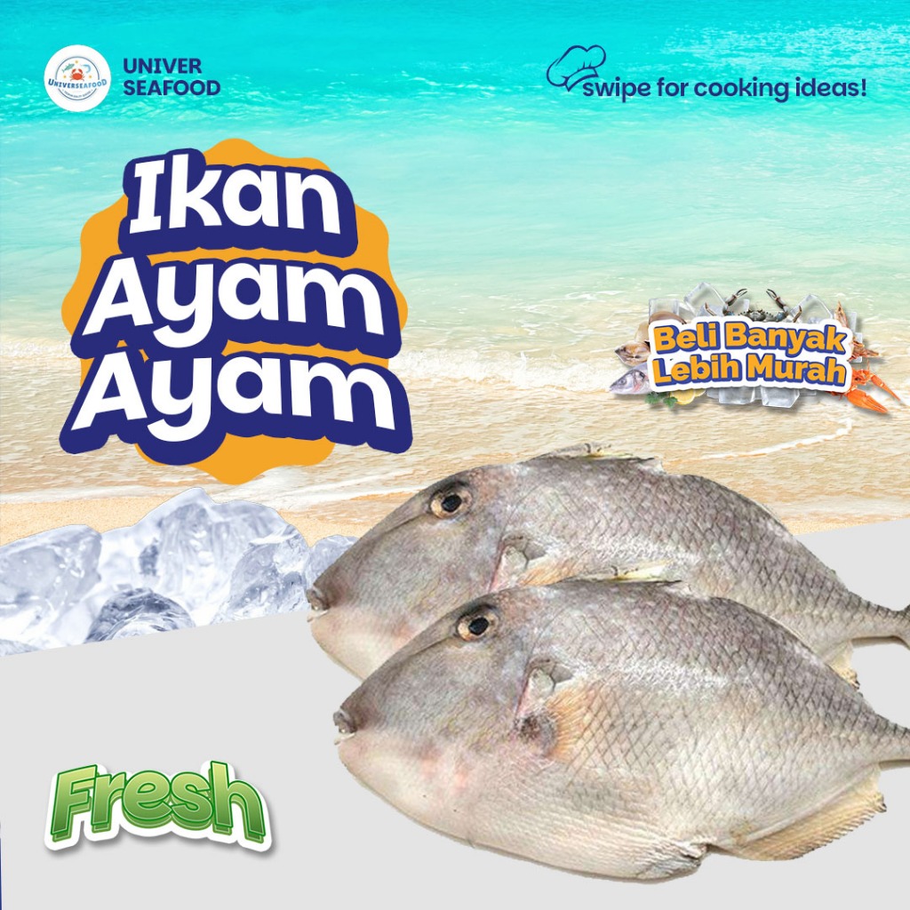 Jual Ikan Ayam Ayam/ Ikan Entong Fresh 1 kg | Shopee Indonesia