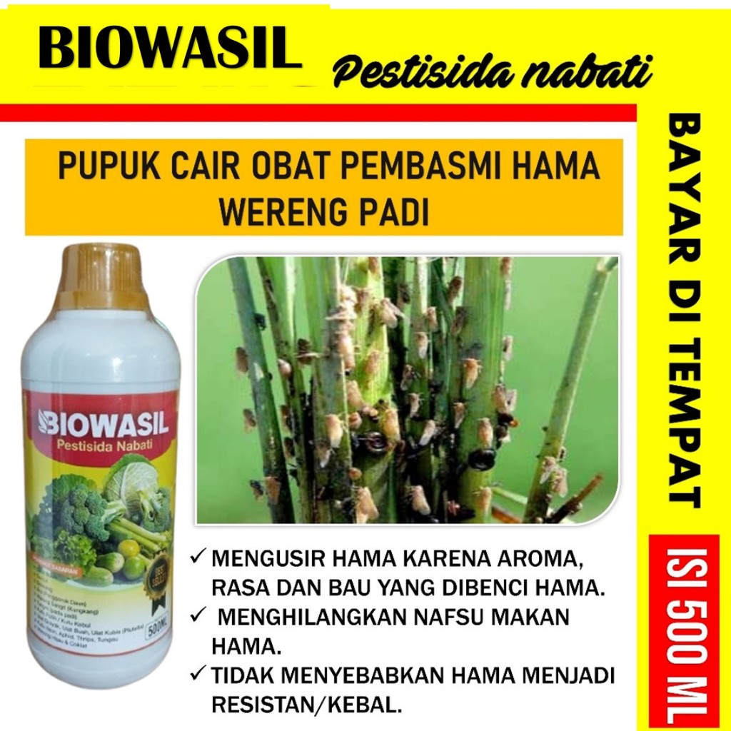 Jual Promo BIOWASIL 500ml Pestisida Organik Obat Hama Wereng Coklat ...