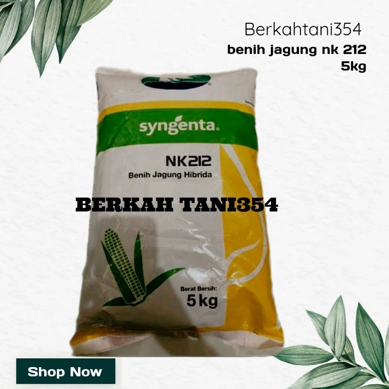 Jual benih jagung hibrida nk 212 kemasan 5kg nk 212 5kg benih jagung ...