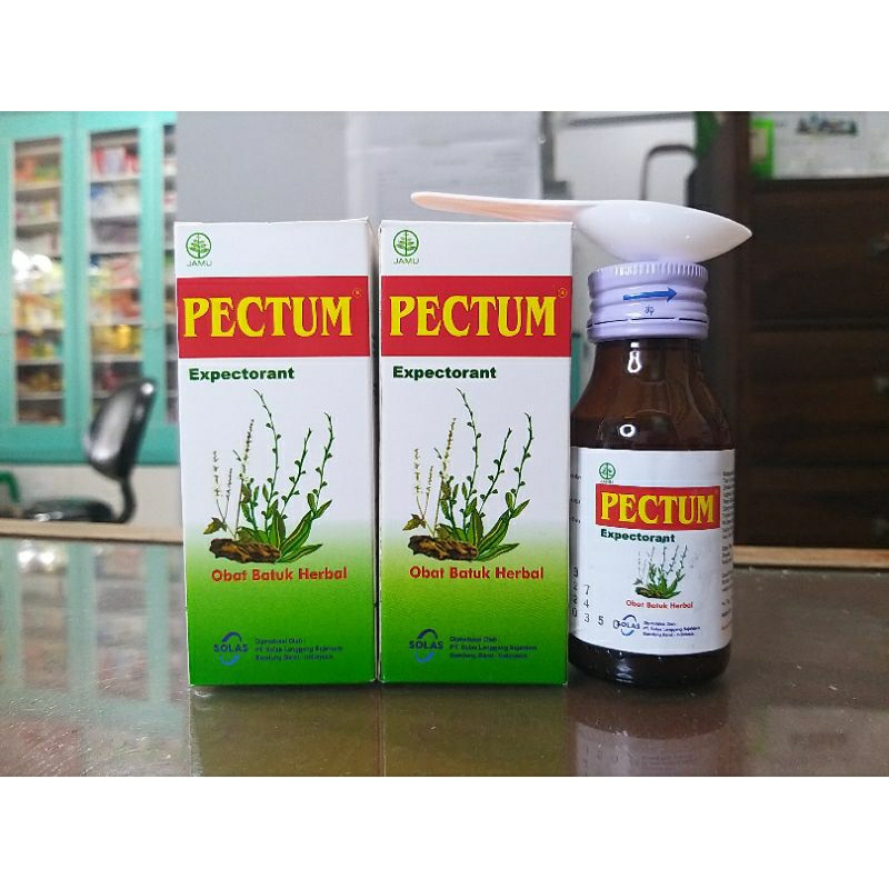 Jual PECTUM EXPECTORANT 60 ML | OBAT BATUK HERBAL SIRUP | Shopee Indonesia