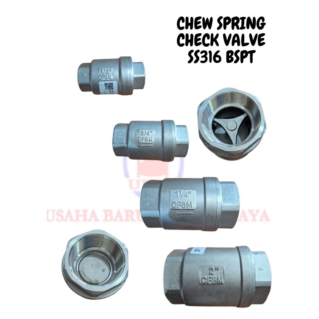 Jual CHEW SPRING CHECK VALVE SS316 BSPT 1/2" (DILUAR BATAM) | Shopee ...