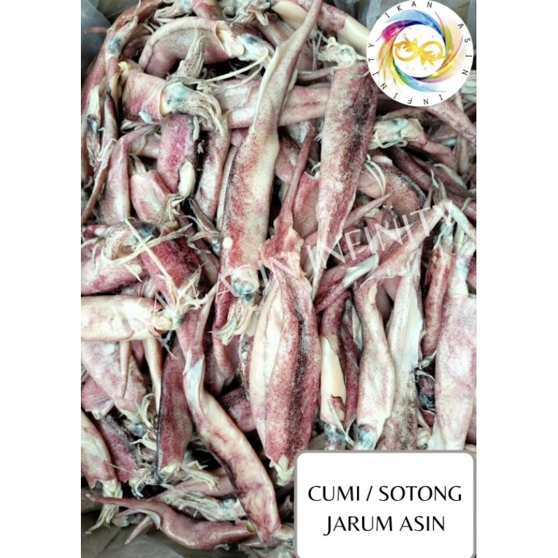 Jual Cumi / Sotong Jarum Asin (1000 Gram / 1 Kg) | Shopee Indonesia