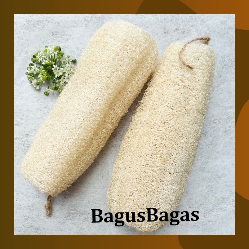 Jual SPA Loofah Lofah Sabut Gambas Oyong Scrub Sponge Mandi Alami Cuci ...