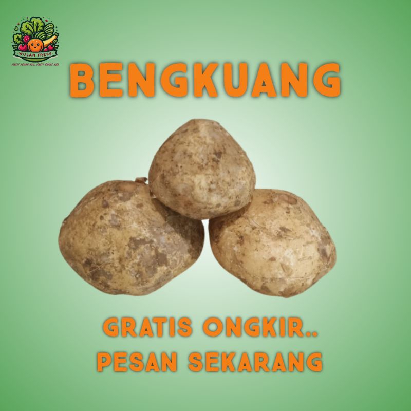 Jual BENGKUANG | Shopee Indonesia