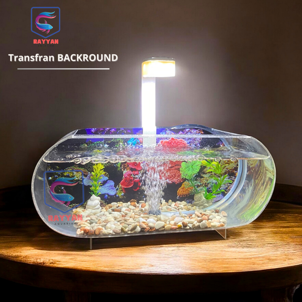 Jual 1 Set lengkap aquarium minimalis transfaran backround lengkap dengan mesin pompa oxygn ...