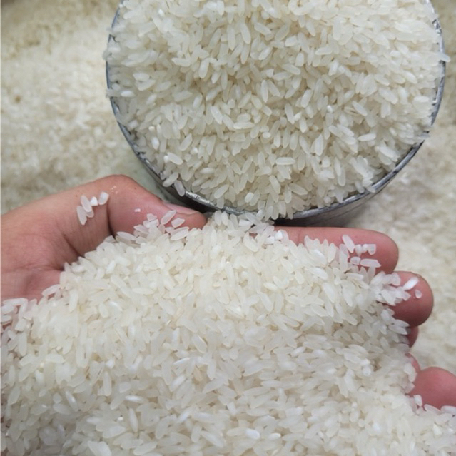 Jual 5 Kg Beras Pera Super IR 42 ( Untuk Nasi Goreng,Nasi Uduk,Bubur ...