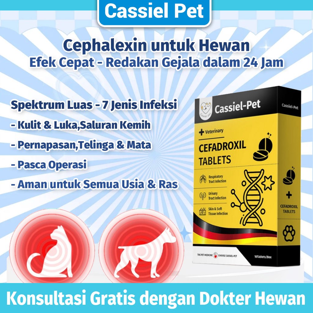 Jual Cassiel Pet Cephalexin Hewan - Antibiotik -Obat Infeksi Kulit ...
