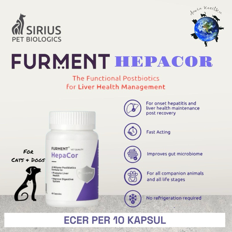 Jual Furment HEPACOR Postbiotics Liver Supplement / Hepatic / Hepato ...