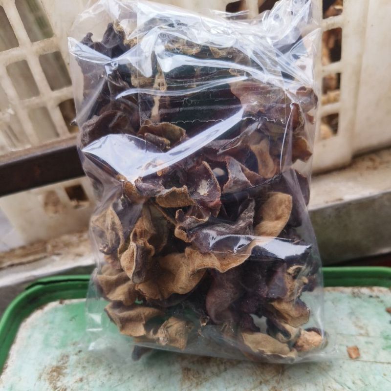 Jual jamur kuping jamur hitam kering | Shopee Indonesia