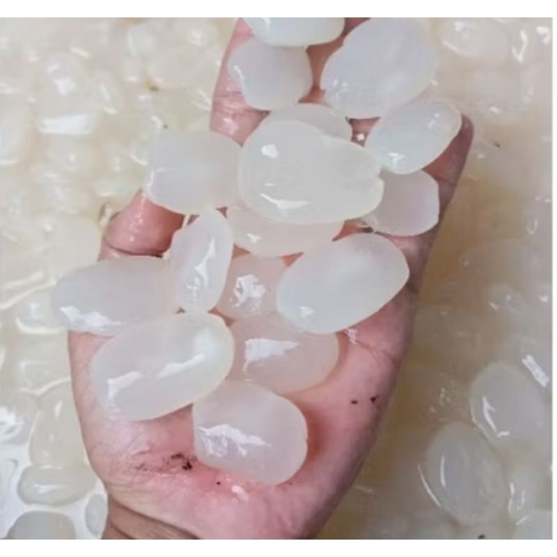 Jual buah aren muda / kulang kaling | Shopee Indonesia