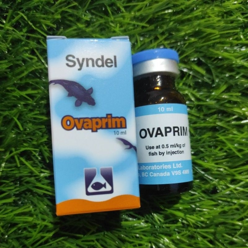 Jual Ovaprim Ecer 1 ml Breeding Ikan mantab Original Syndel | Shopee ...