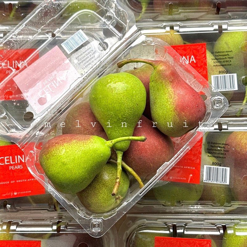 Jual Pear forelle 800gr | Shopee Indonesia