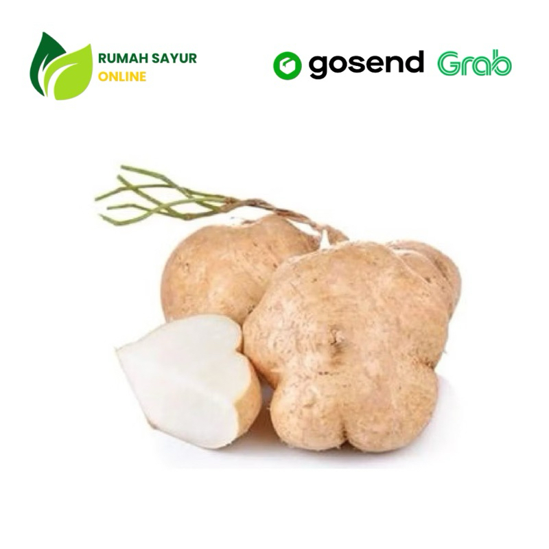 Jual Bengkuang 500gr - 1kg Surabaya | Shopee Indonesia