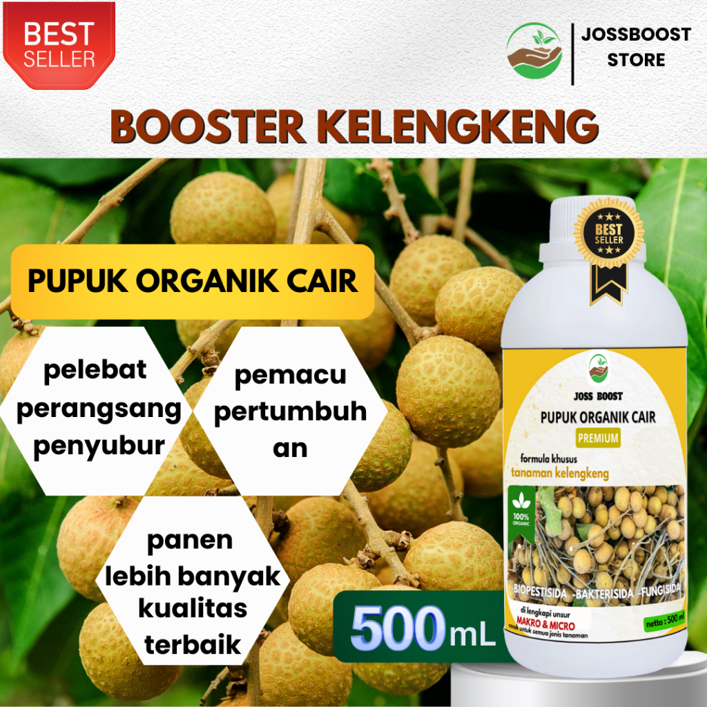Jual COD pupuk Booster Buah kelengkeng 500ML / Pupuk Pelebat Tanaman Kelengkeng Pemacu Tumbuh ...