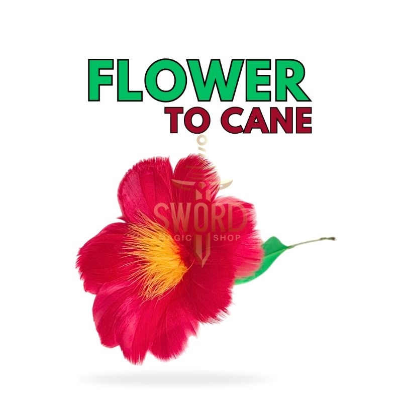 Jual Alat Sulap Flower to Cane - Deluxe Flower to Cane - Feather to ...